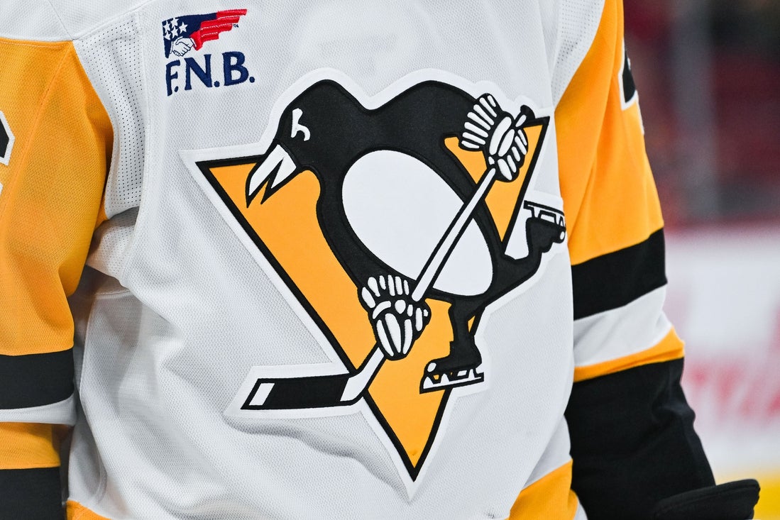 NHL: Penguins name Dan Muse as new head coach